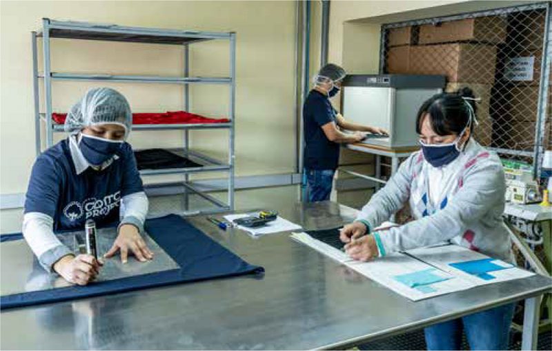 Processes – Cotton Project